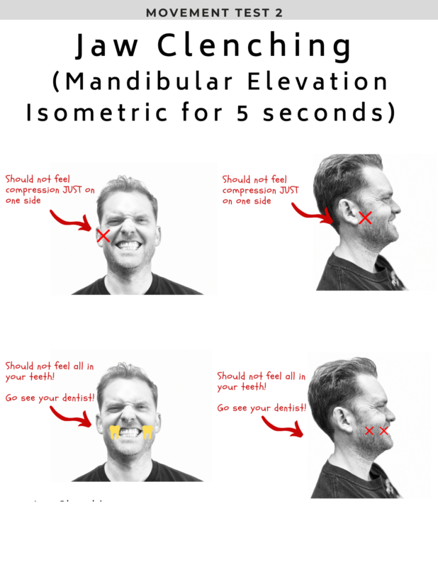5 Easy Tests for TMJ Pain - PhysioFit of NC