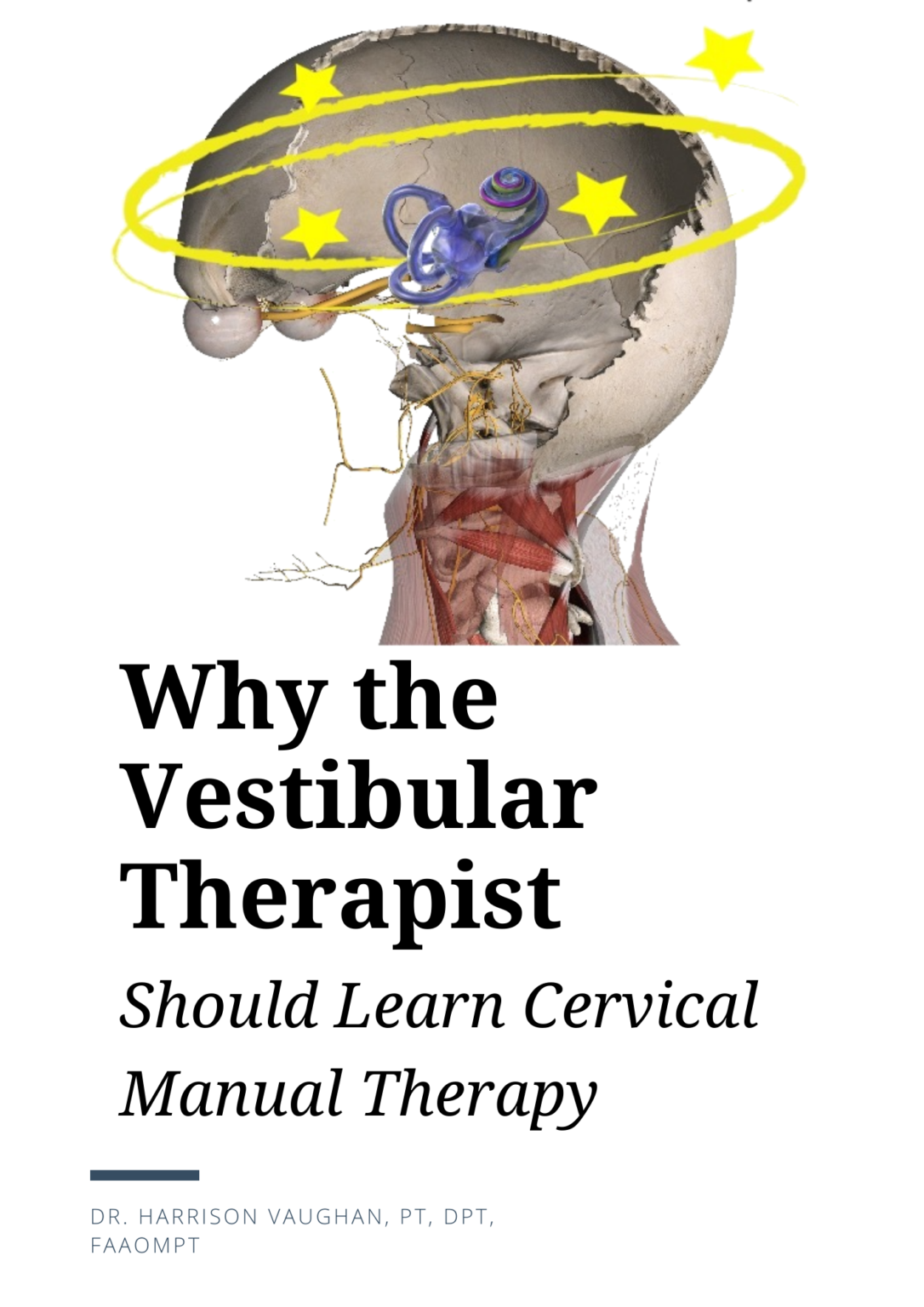 Why the Vestibular Therapist should learn Cervical Manual Therapy ...