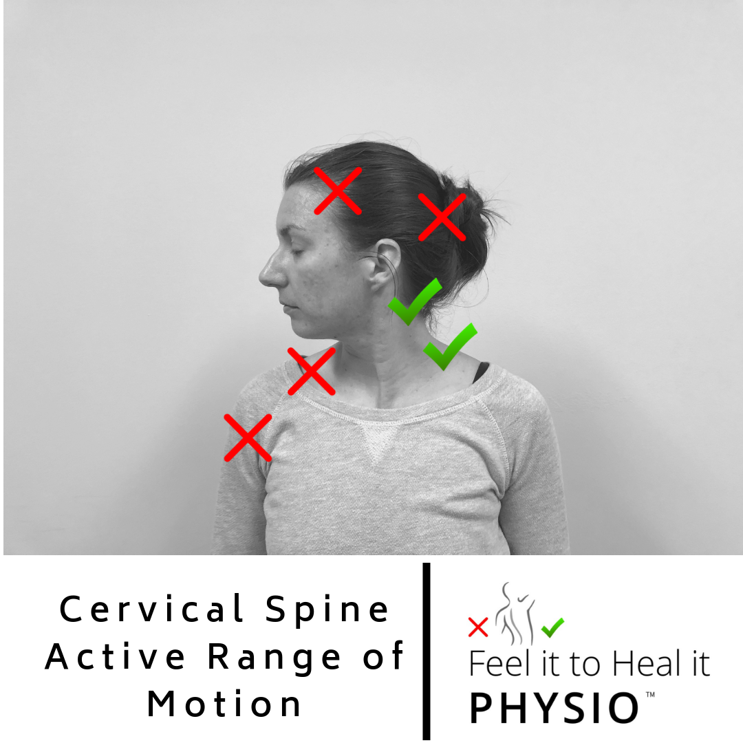 Can treating the neck help with sinus headaches? - PhysioFit of NC