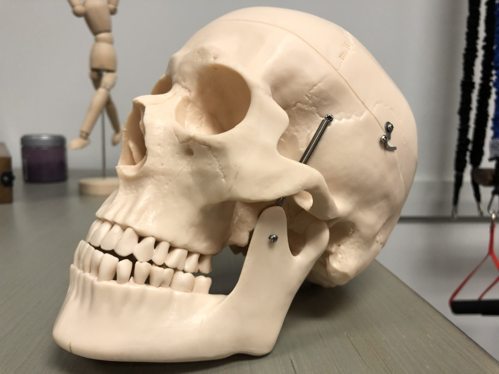 5 reasons why women have more TMJ problems - PhysioFit of NC