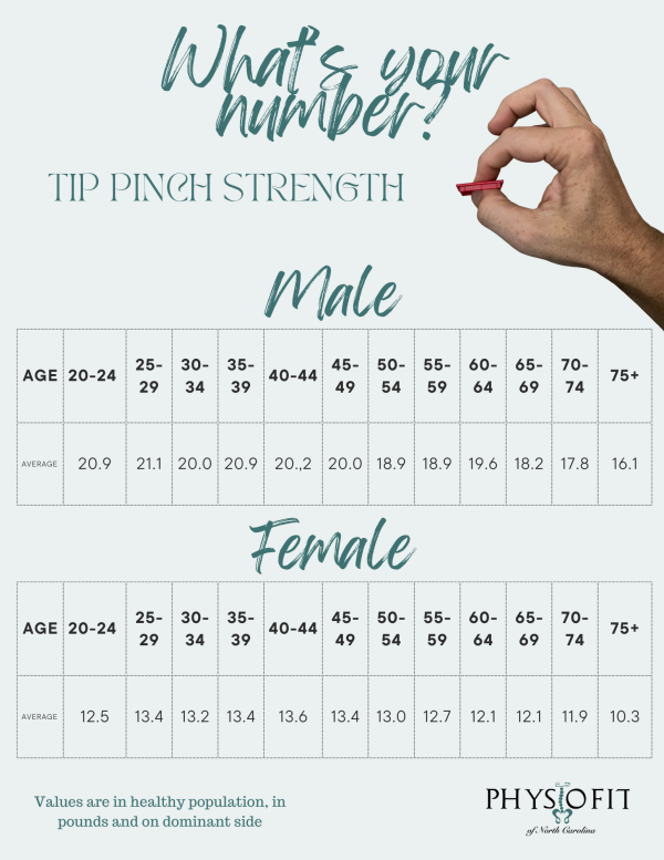 What is normal tip pinch strength? - PhysioFit of NC