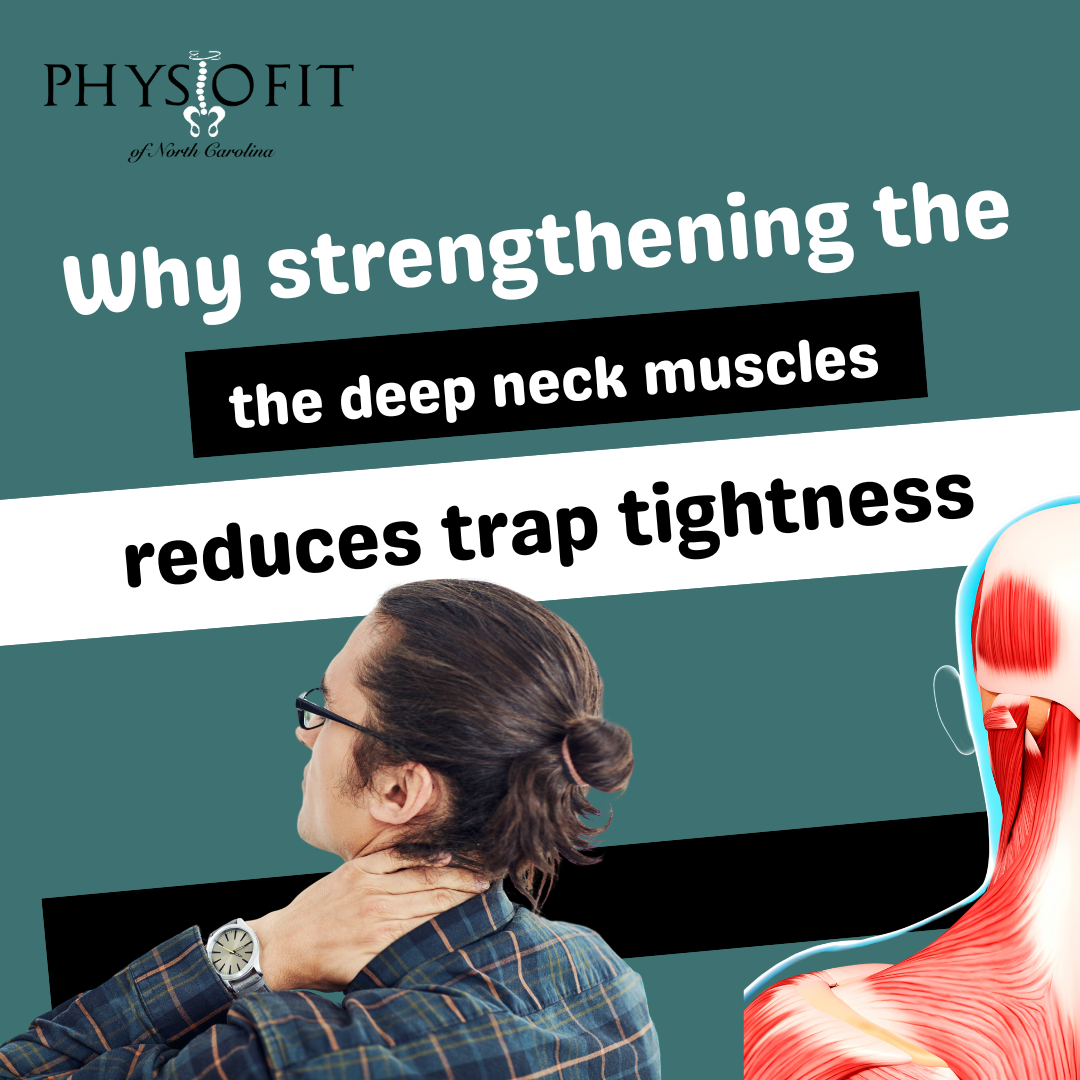 Why Strengthening the Deep Neck Muscles Reduces Trap Tightness ...
